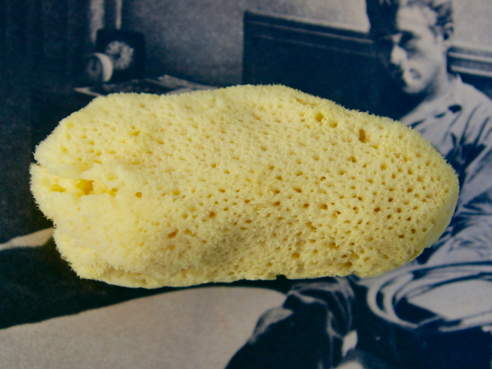 Sea Sponge Info & Pricing | Hoo Hoo Rags